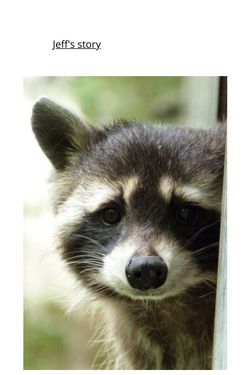 Book Creator | Jeff's Story