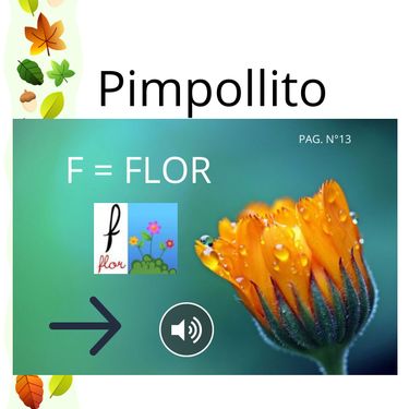 Book Creator | Pimpollito