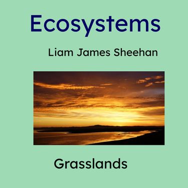 Book Creator | 2nd Grade Ecosystems