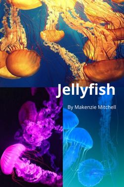 Book Creator | Jellyfish