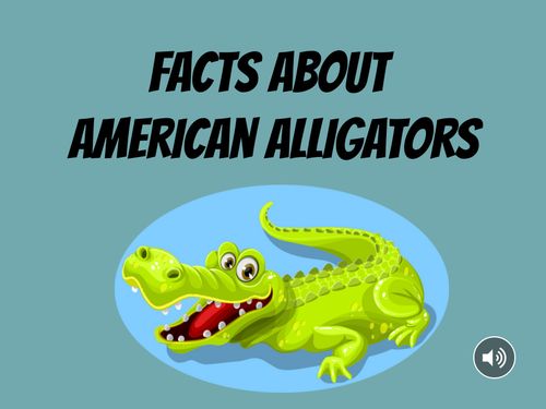 Book Creator | Facts About American Alligators