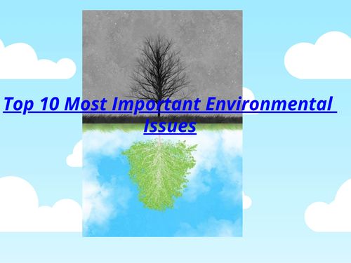 Book Creator | Top 10 Most Important Environmental Issues