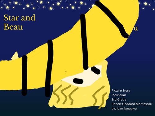 Book Creator | Star and Beau