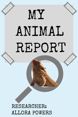 Book Creator | My Animal Report