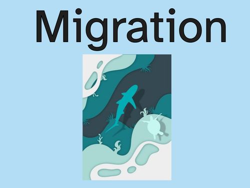 Book Creator | Migration