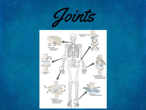 Book Creator | Joints
