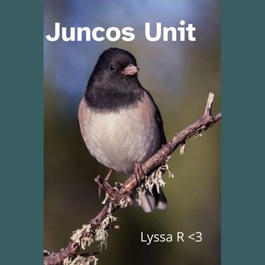 Book Creator | Juncos