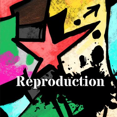 Book Creator | Reproduction