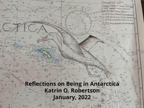 Book Creator | Reflections on Being in Antartica