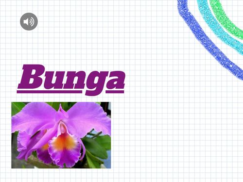 Book Creator | BUNGA