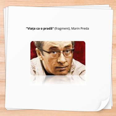 Book Creator | ”Viața ca o pradă” (fragment), Marin Preda