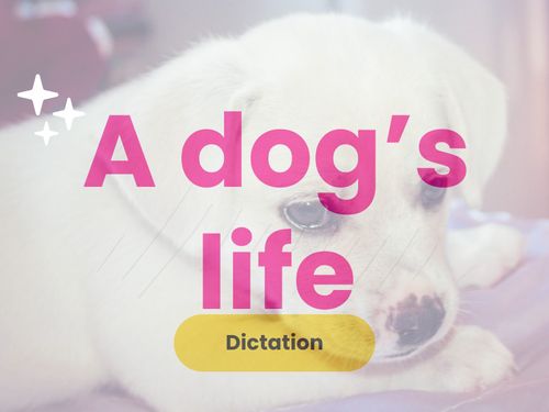 Book Creator | Getting Started with Book Creator