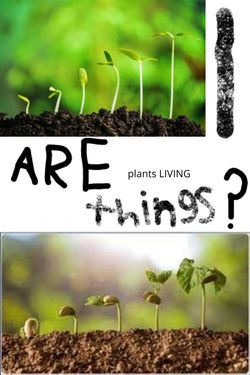 Book Creator | are plants living things?