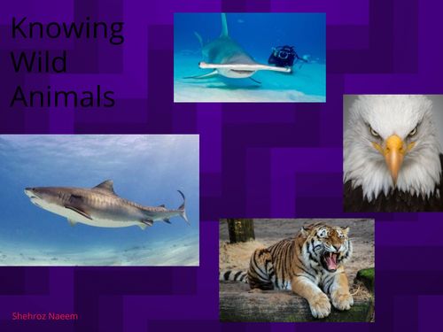 Book Creator | Knowing wild animals
