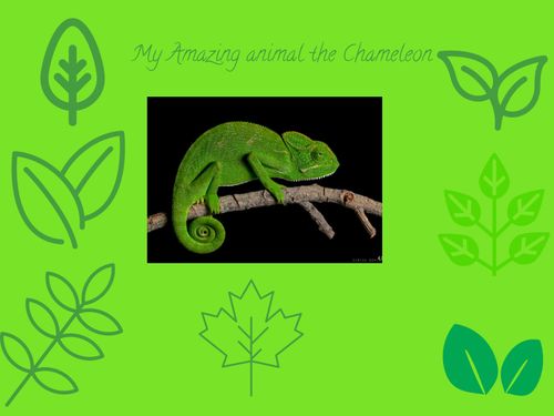 Book Creator | Chameleons