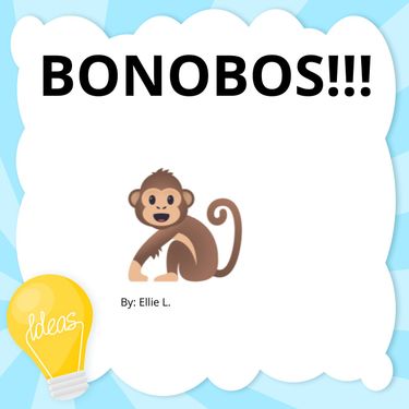 Book Creator | Bonobos