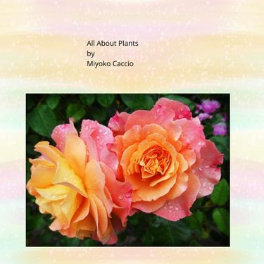 Book Creator | All About Plants