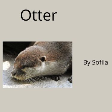 Book Creator | Otter