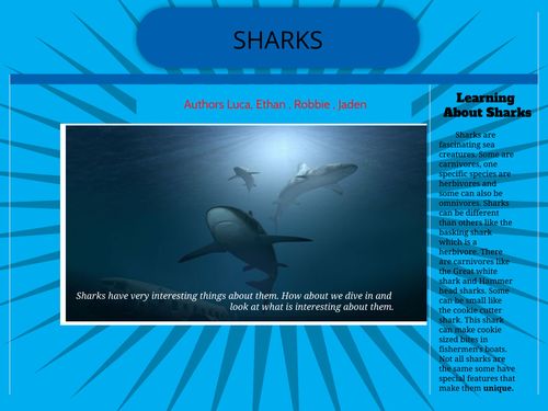 Book Creator | Sharks
