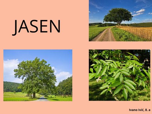 Book Creator | Jasen