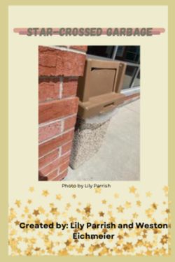 Book Creator | Star-Crossed Garbage