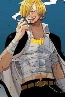 Book Creator | Sanji