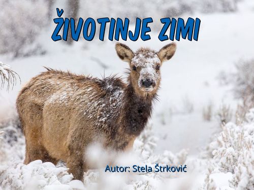 Book Creator | Životinje zimi