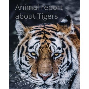 Book Creator | All about Tigers