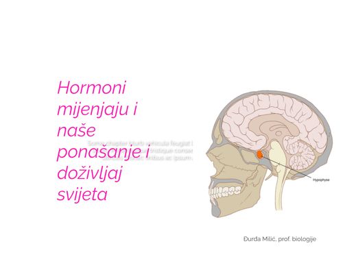 Book Creator | Hormoni