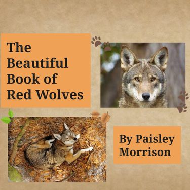 Book Creator | Red Wolves