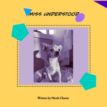 Book Creator | Miss Understood