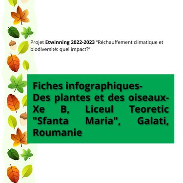 Book Creator | Projet E-Twinning, 2022-2023