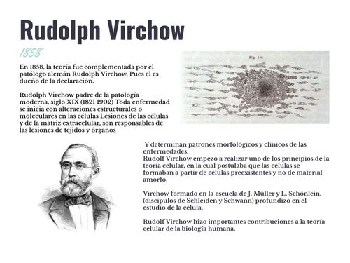 Book Creator | rudolf