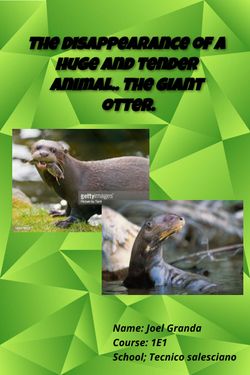 Book Creator | The Disappearance of a huge and tender animal.. The giant otter.
