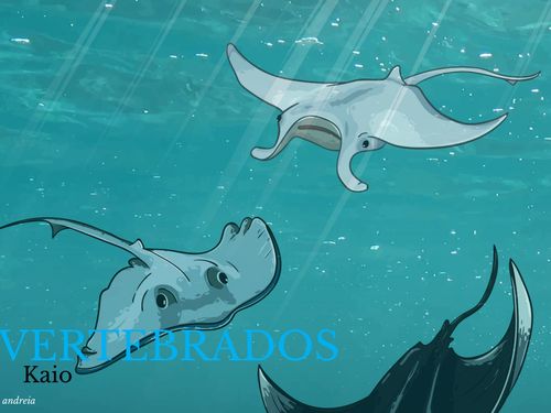 Book Creator | animas