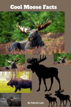 Book Creator | Moose