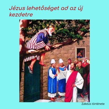 Book Creator | Zakeus története