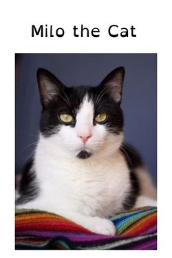 Book Creator | milo the cat