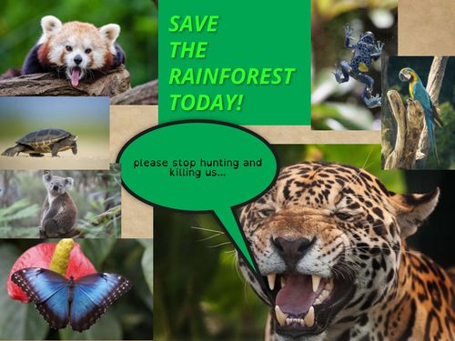 Book Creator | Save The Rainforest