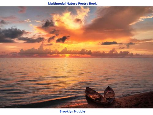 Book Creator | Multimodal poetry book