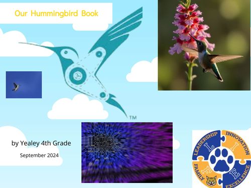 Book Creator | Hummingbird Projects September 2024