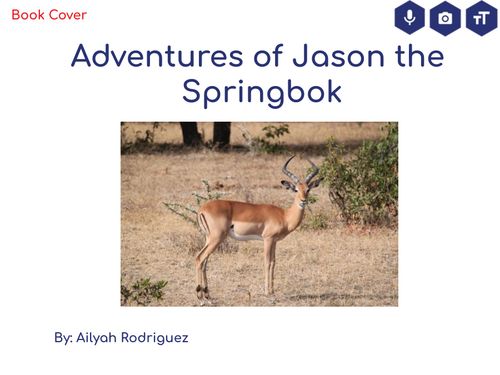 Book Creator | The Adventures of Jason the Springbok