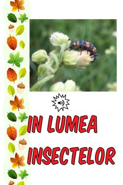 Book Creator | in lumea insectelor