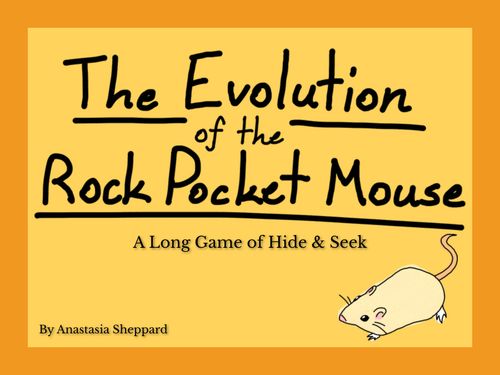 Book Creator | The Evolution of the Rock Pocket Mouse: A Long Game of ...