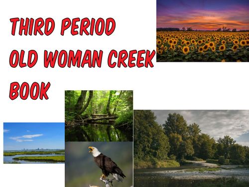 Book Creator | 3rd Period OWC Book