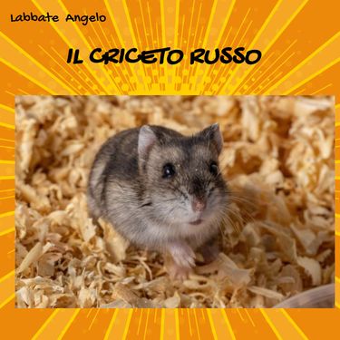 Book Creator | Il Criceto Russo