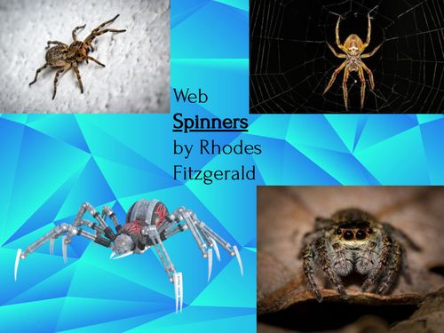 Book Creator | Web Spinners