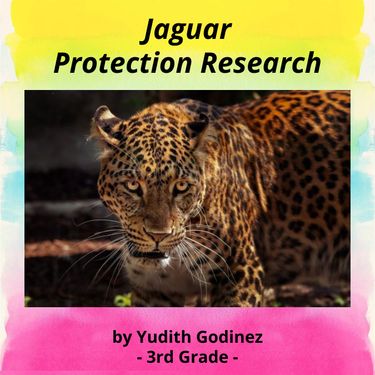 Book Creator | Jaguar Protection Research