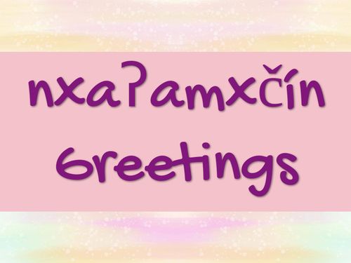 Book Creator | NXA Greetings