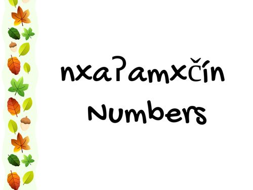 Book Creator | NXA Numbers